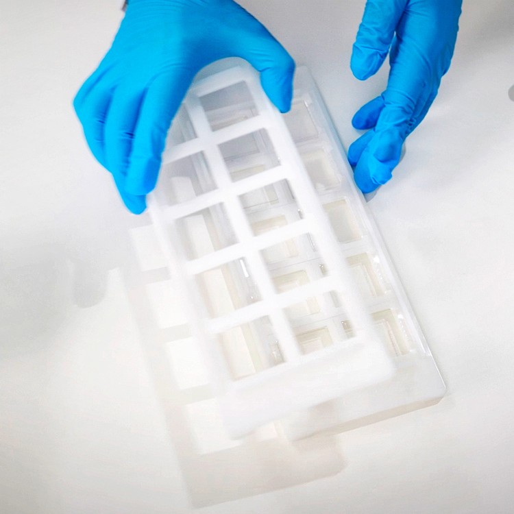 NovaFilm™ OTF Blister Mold Rack | Racks | Medisca